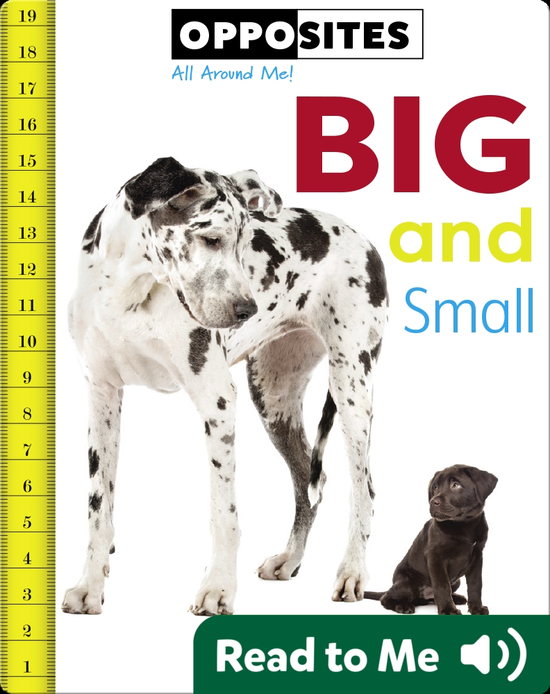 Opposites: Big and Small Book by Amy Culliford | Epic