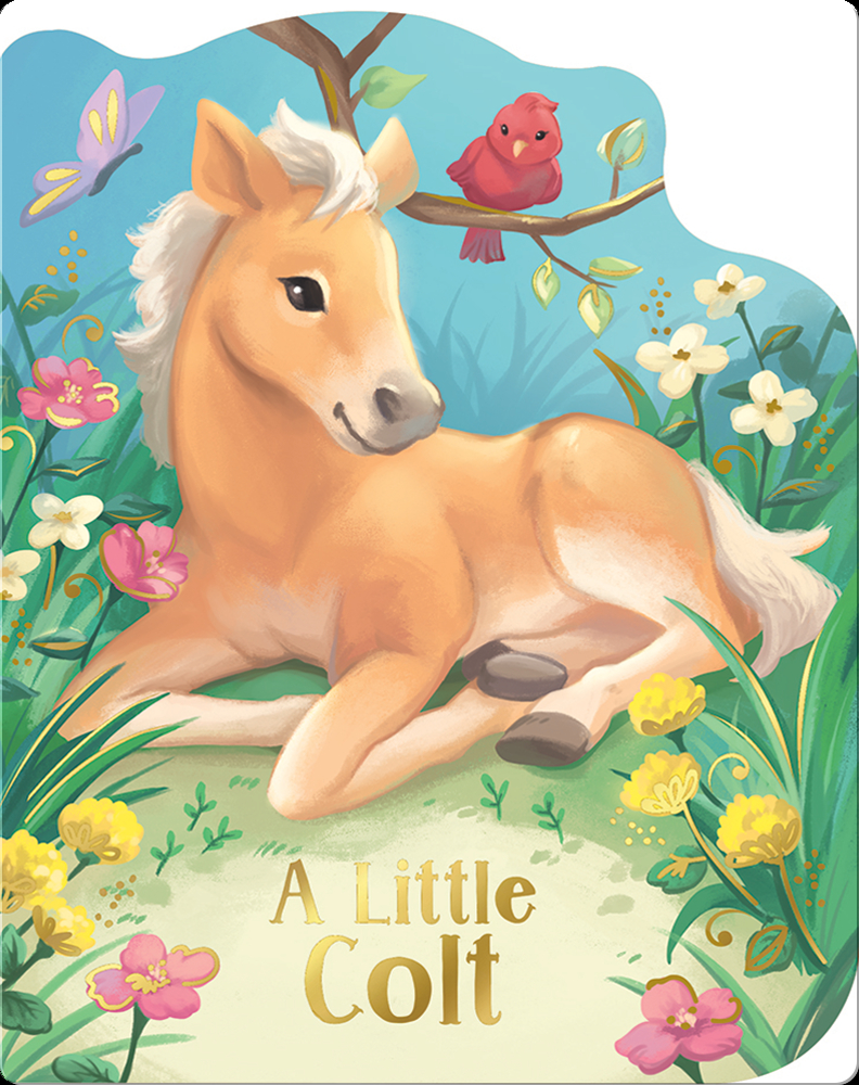 A Little Colt Book by Rosalee Wren | Epic