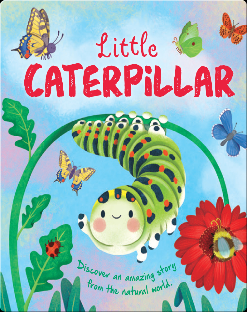 Little Caterpillar Book by Igloo Books, Suzanne Fossey | Epic