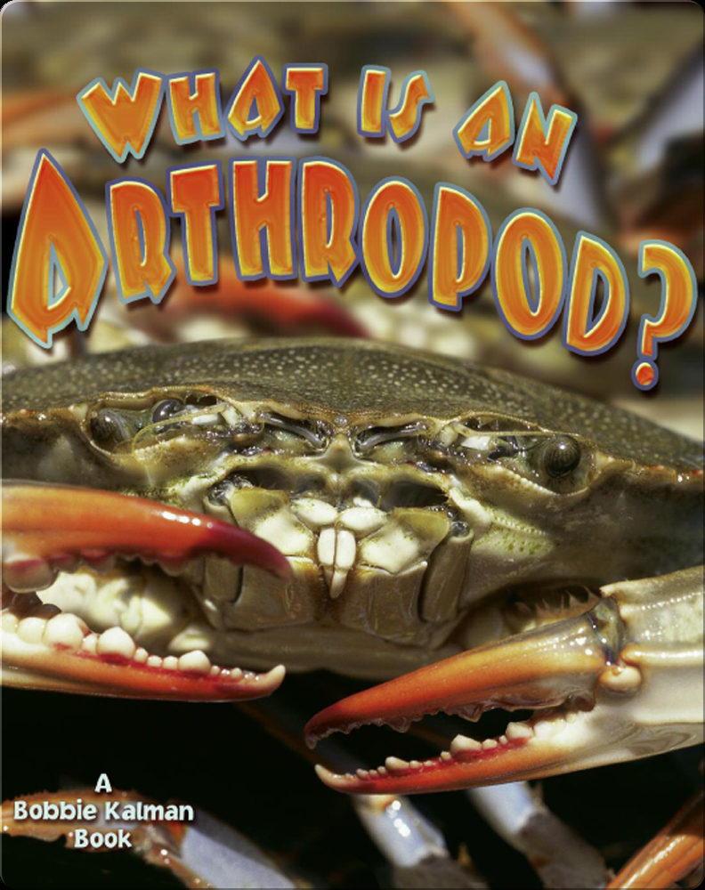 What is an Arthropod? Book by Bobbie Kalman, Kathryn Smithyman | Epic