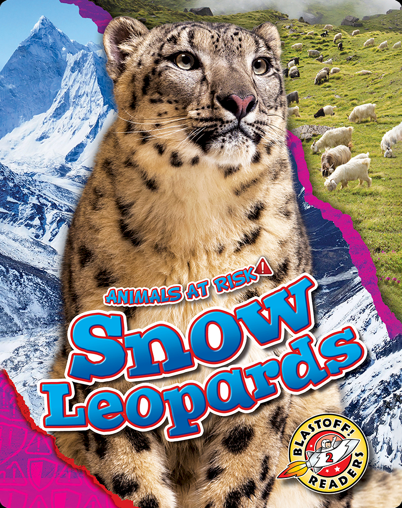 Animals at Risk: Snow Leopards Book by Rachel Grack | Epic