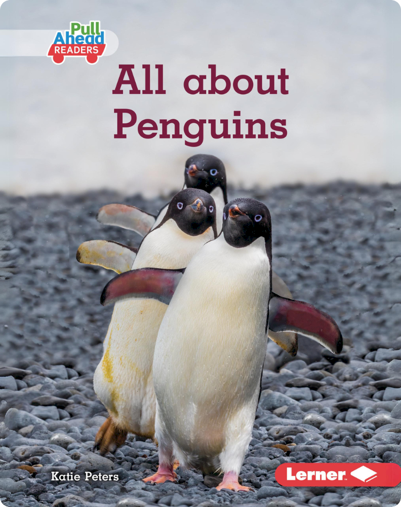 All About Penguins Book by Katie Peters | Epic