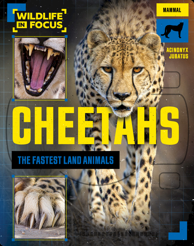 Cheetahs: The Fastest Land Animals Book by Jon Alan | Epic