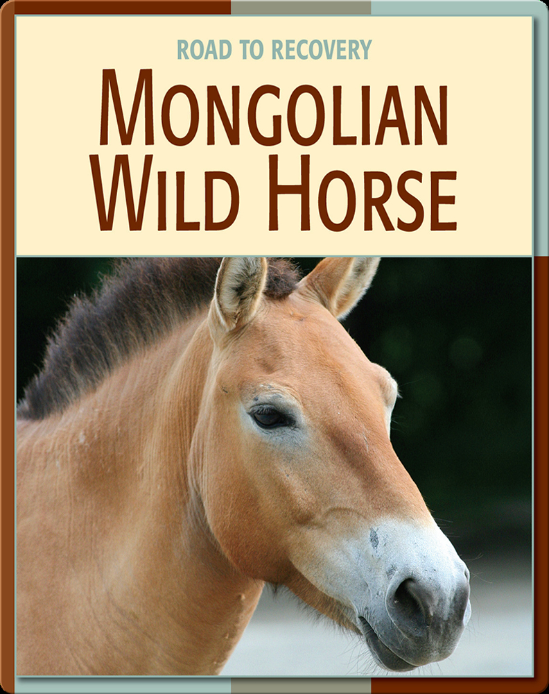Road To Recovery: Mongolian Wild Horse Book by Susan H. Gray | Epic
