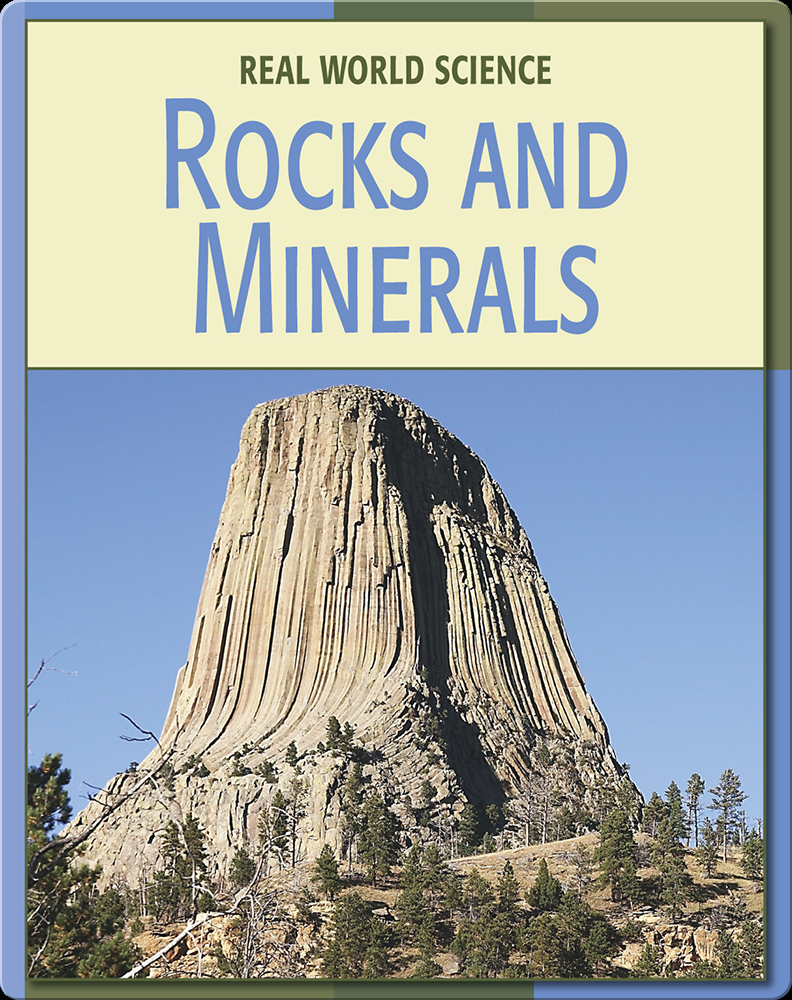 Real World Science: Rocks And Minerals Book by Dana Meachen Rau | Epic