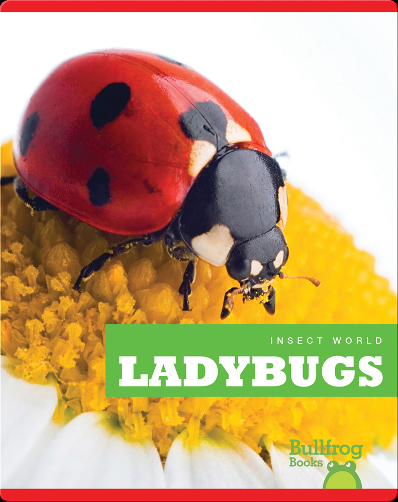 Insect World: Ladybugs Book by Mari Schuh | Epic