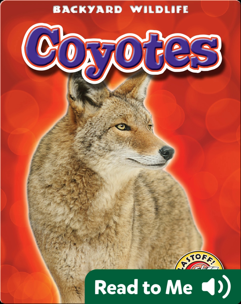 Coyotes: Backyard Wildlife Book by Emily K. Green | Epic
