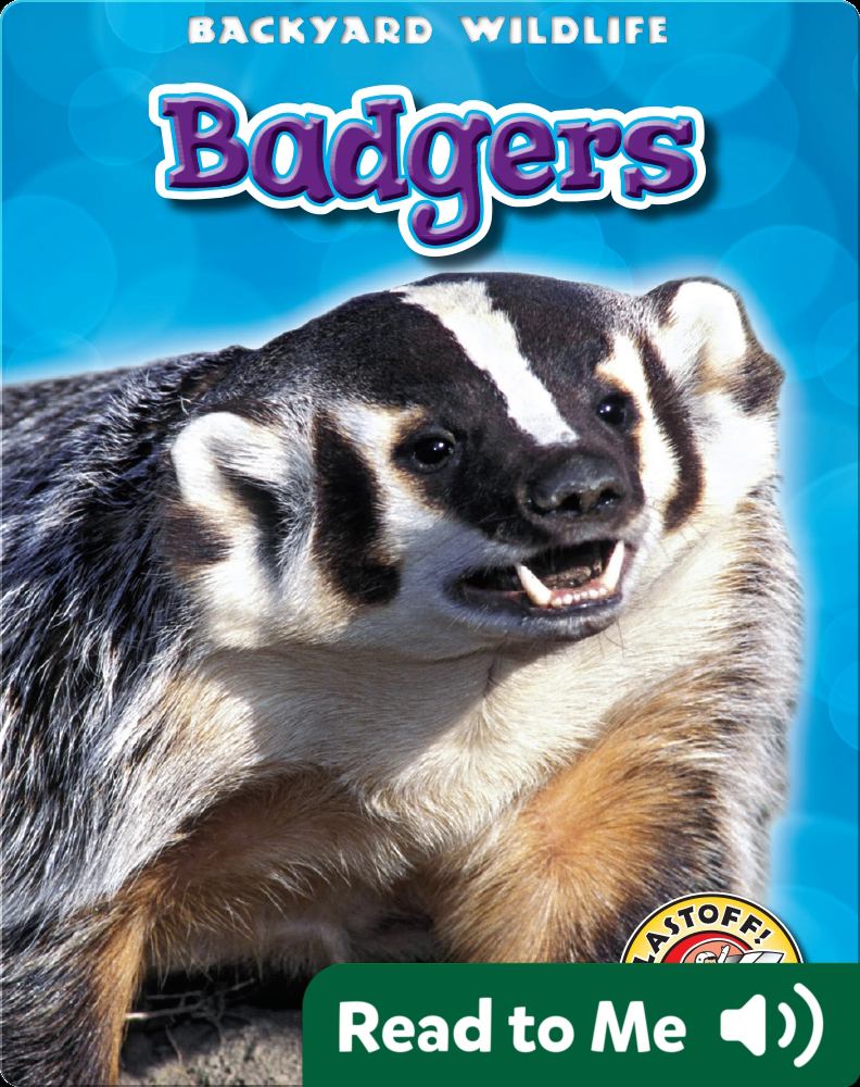 Badgers: Backyard Wildlife Book by Derek Zobel | Epic