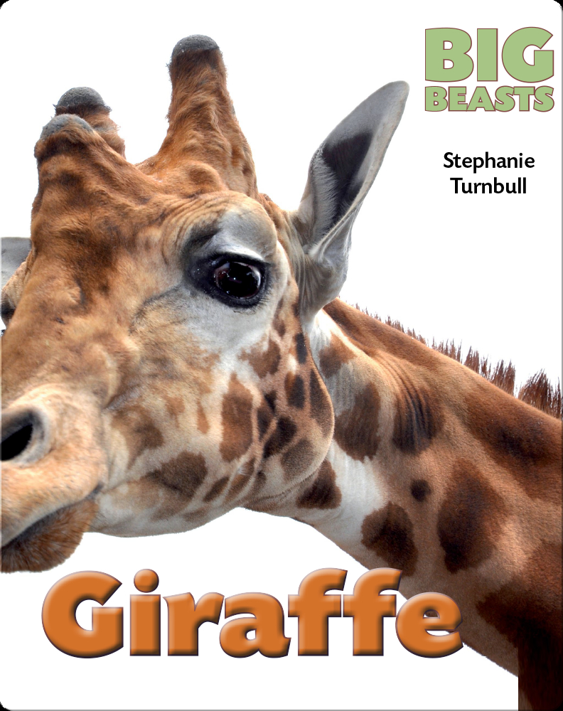 Giraffe Book by Stephanie Turnbull | Epic