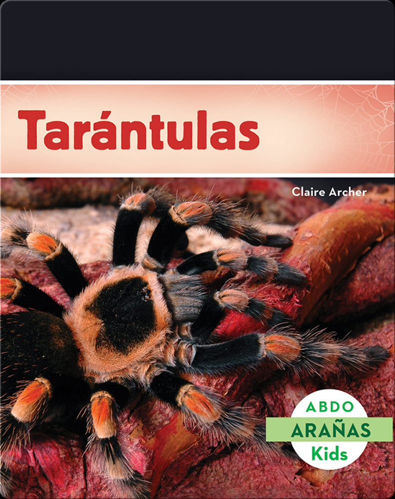 Tarántulas Book by Claire Archer | Epic