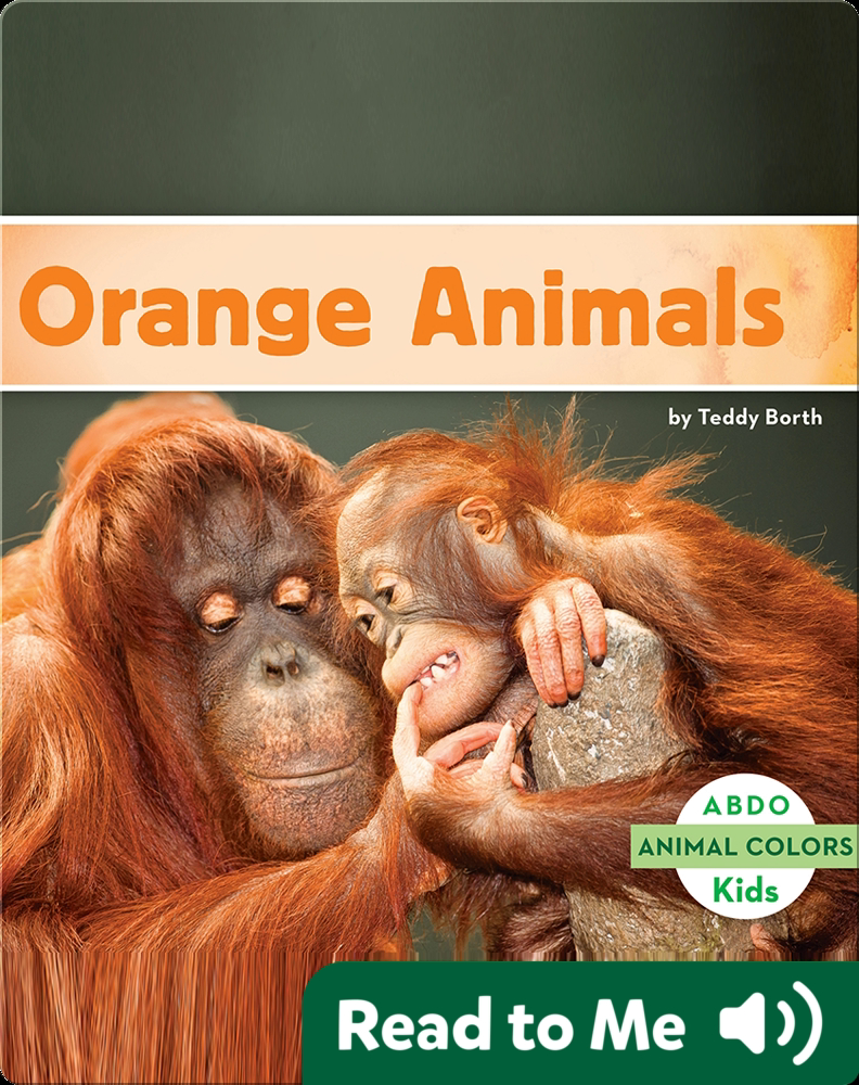 Orange Animals Book by Teddy Borth | Epic