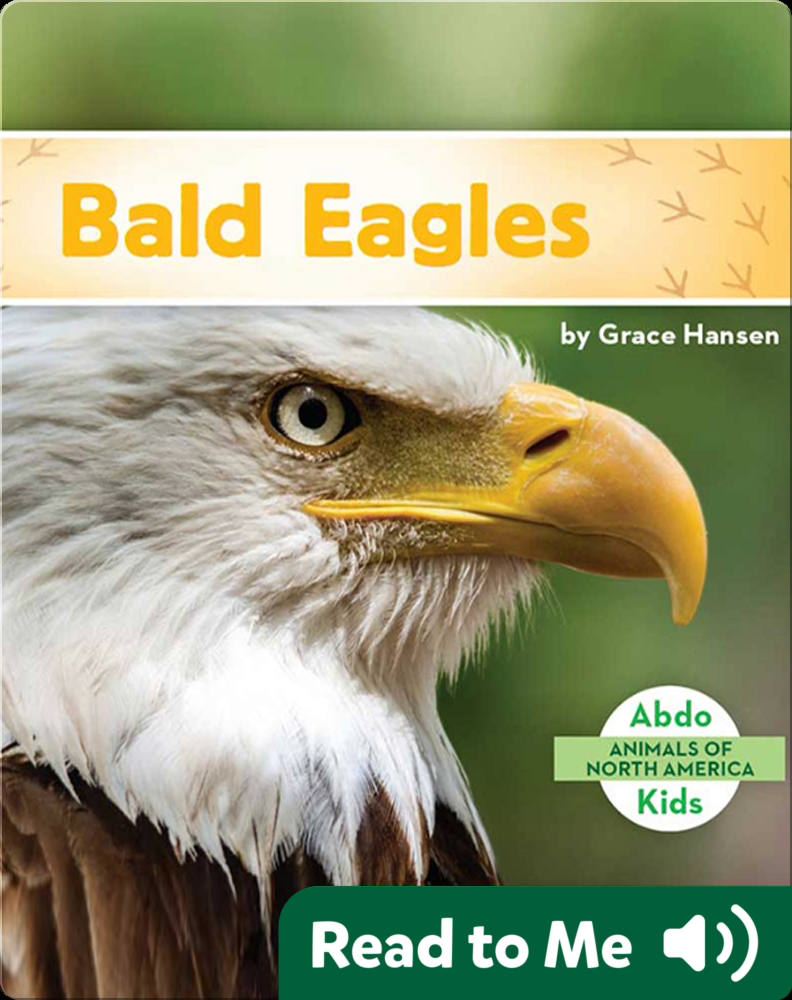 Bald Eagles Book by Grace Hansen | Epic