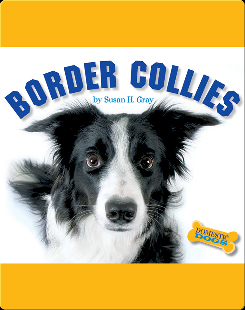 Border Collies Book by Susan H. Gray | Epic