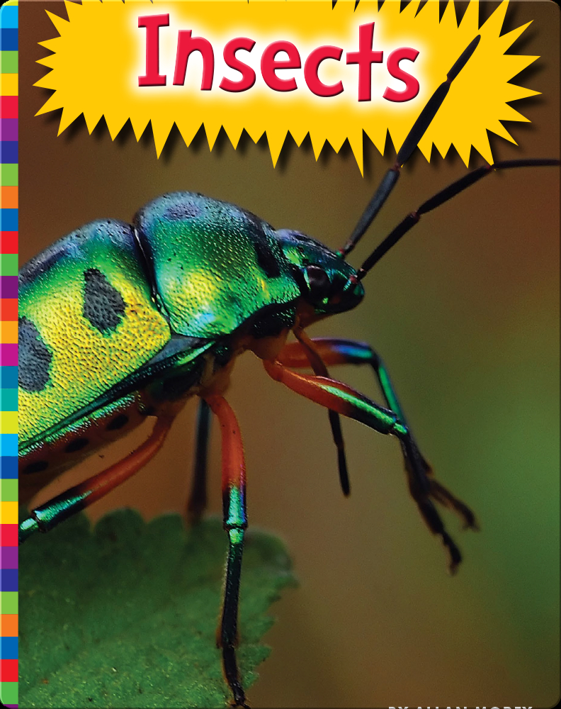 Insects Book by Allan Morey | Epic
