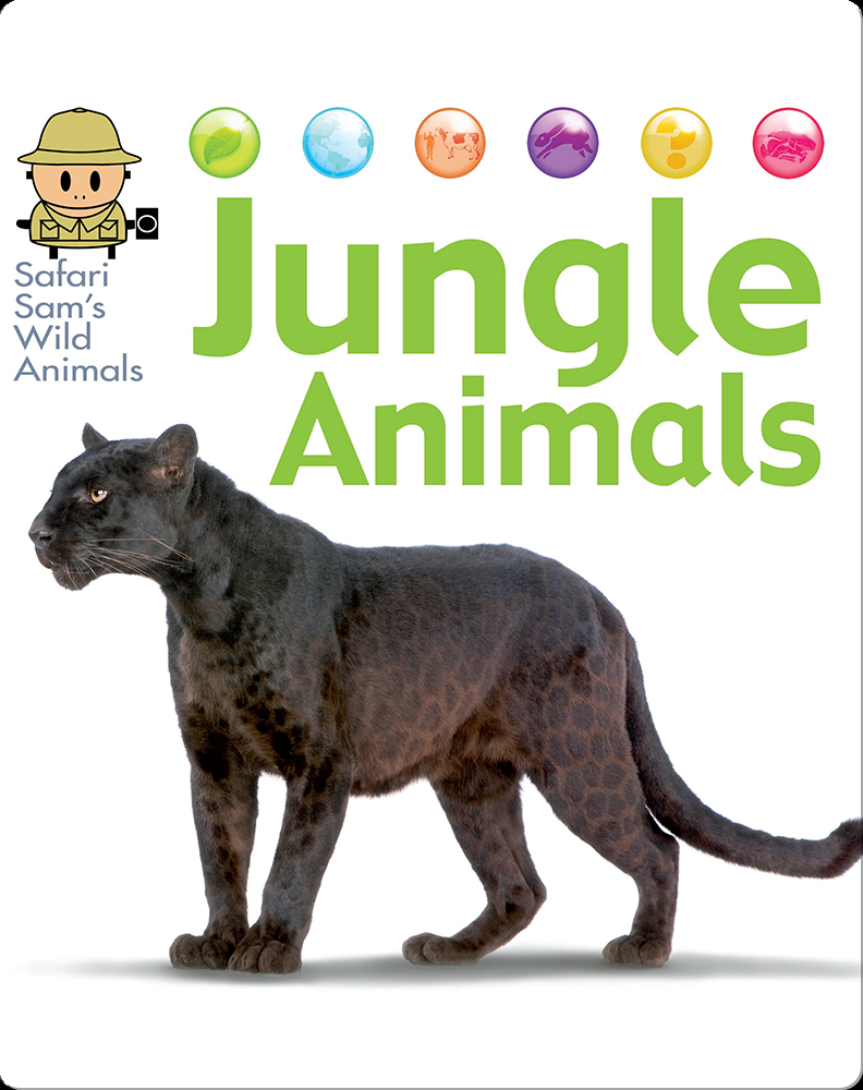 Jungle Animals Book by David West | Epic