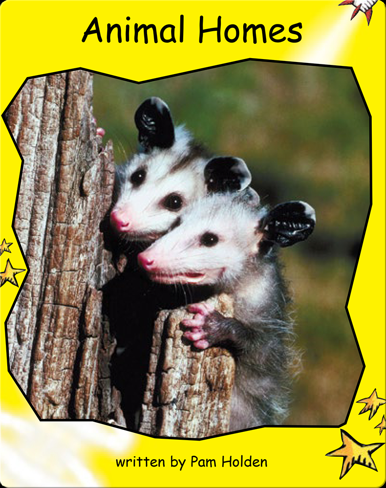 Animal Homes Book by Pam Holden | Epic