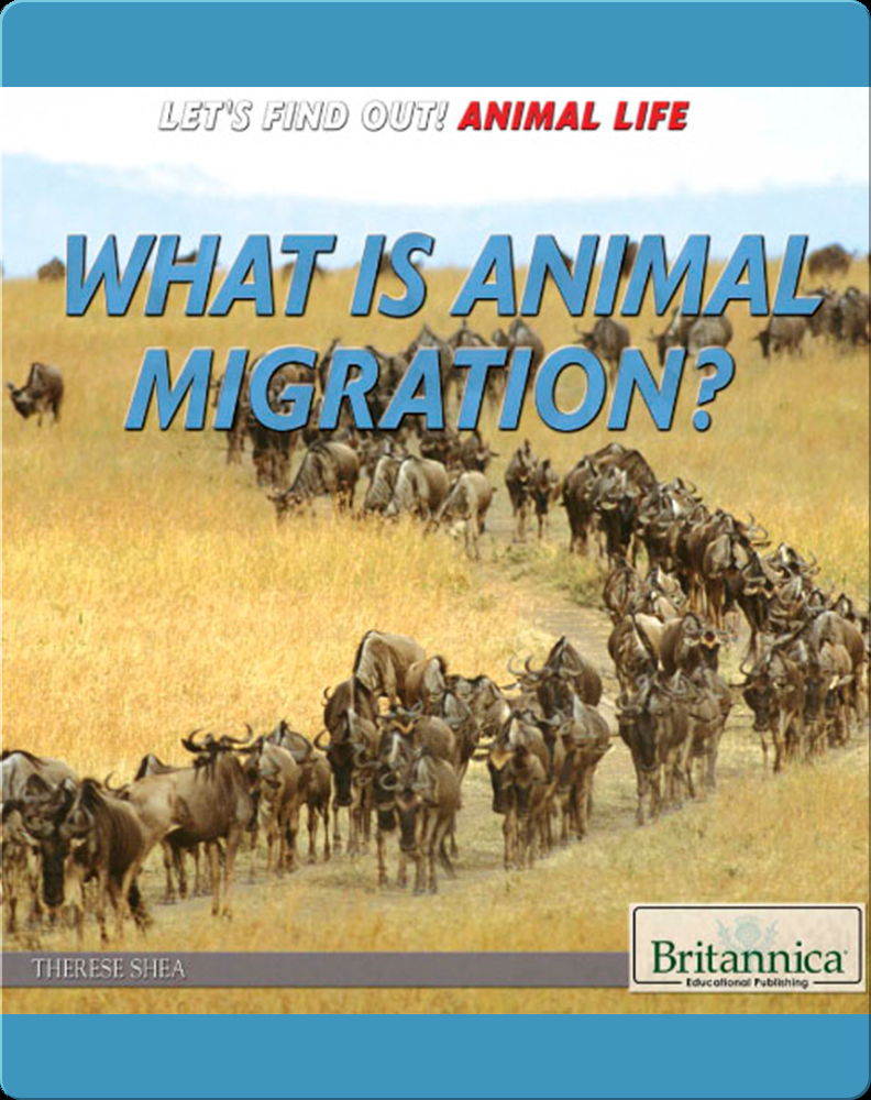 What Is Animal Migration? Book by Therese Shea | Epic