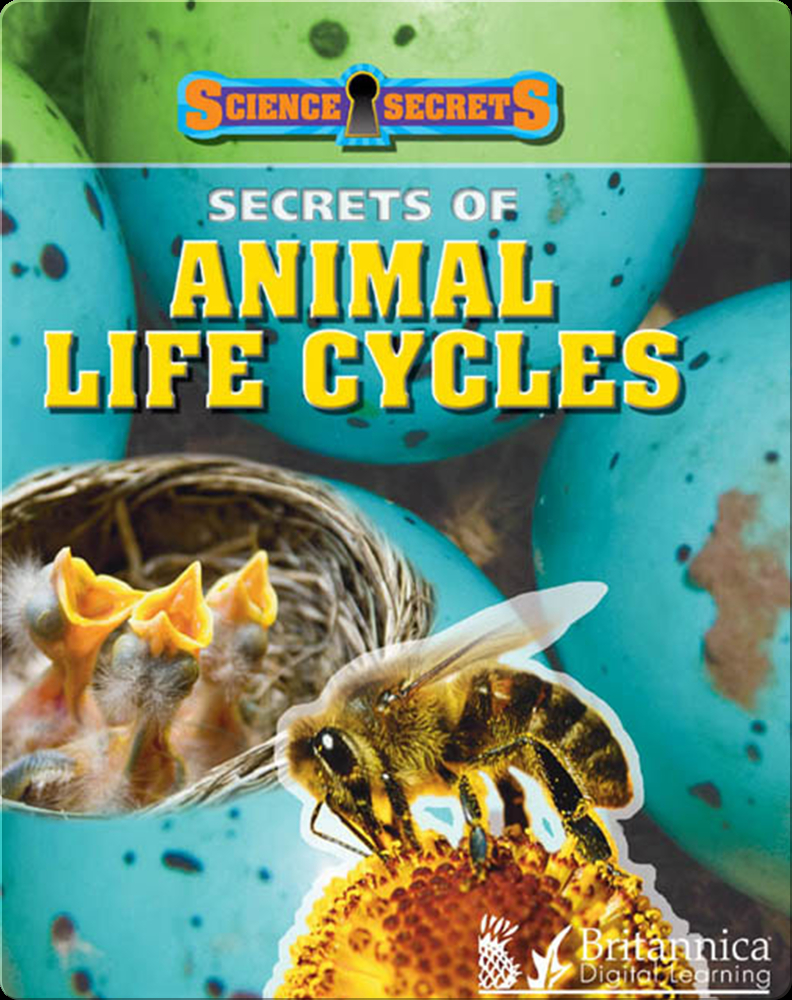 Secrets of Animal Life Cycles Book by Andrew Solway | Epic