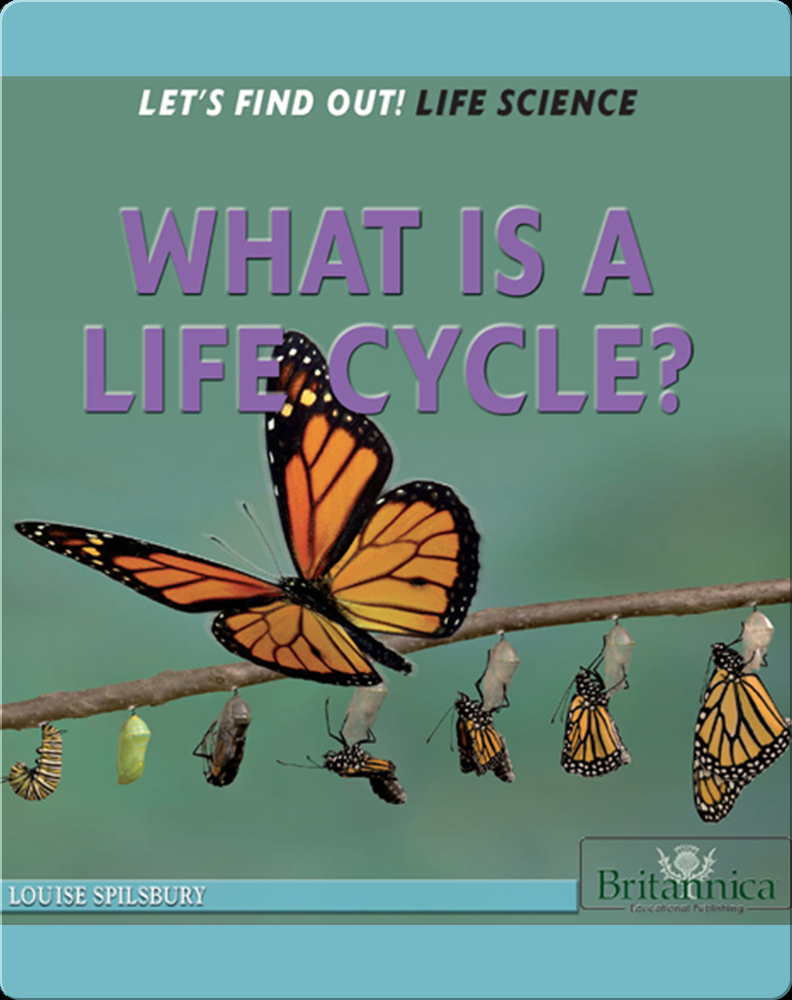 What Is a Life Cycle? Book by Louise Spilsbury | Epic