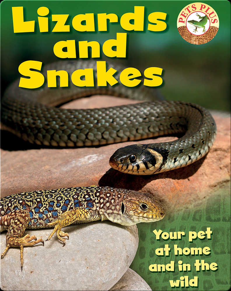 Lizards and Snakes Book by Sally Morgan | Epic
