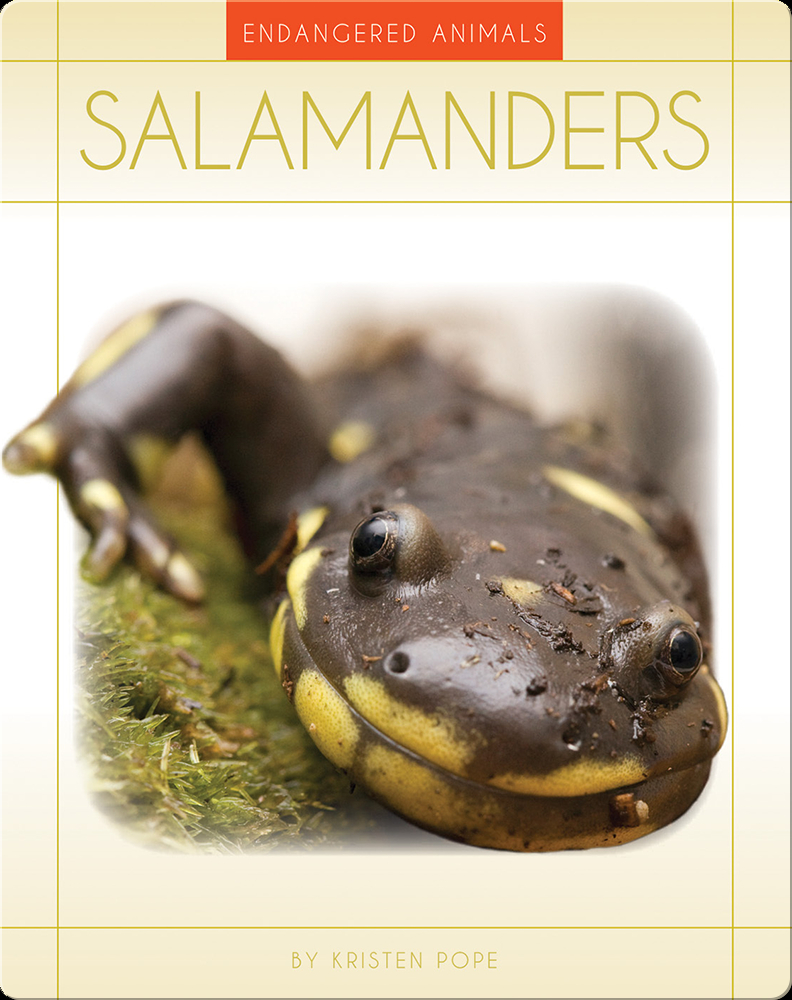 Salamanders Book by Kristen Pope | Epic