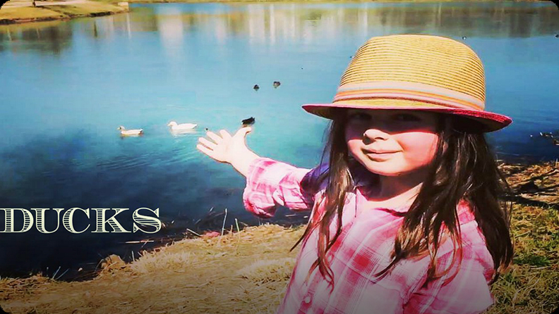 Ducks for Kids | All about Ducks | Fun Duck Videos for Kids Video ...