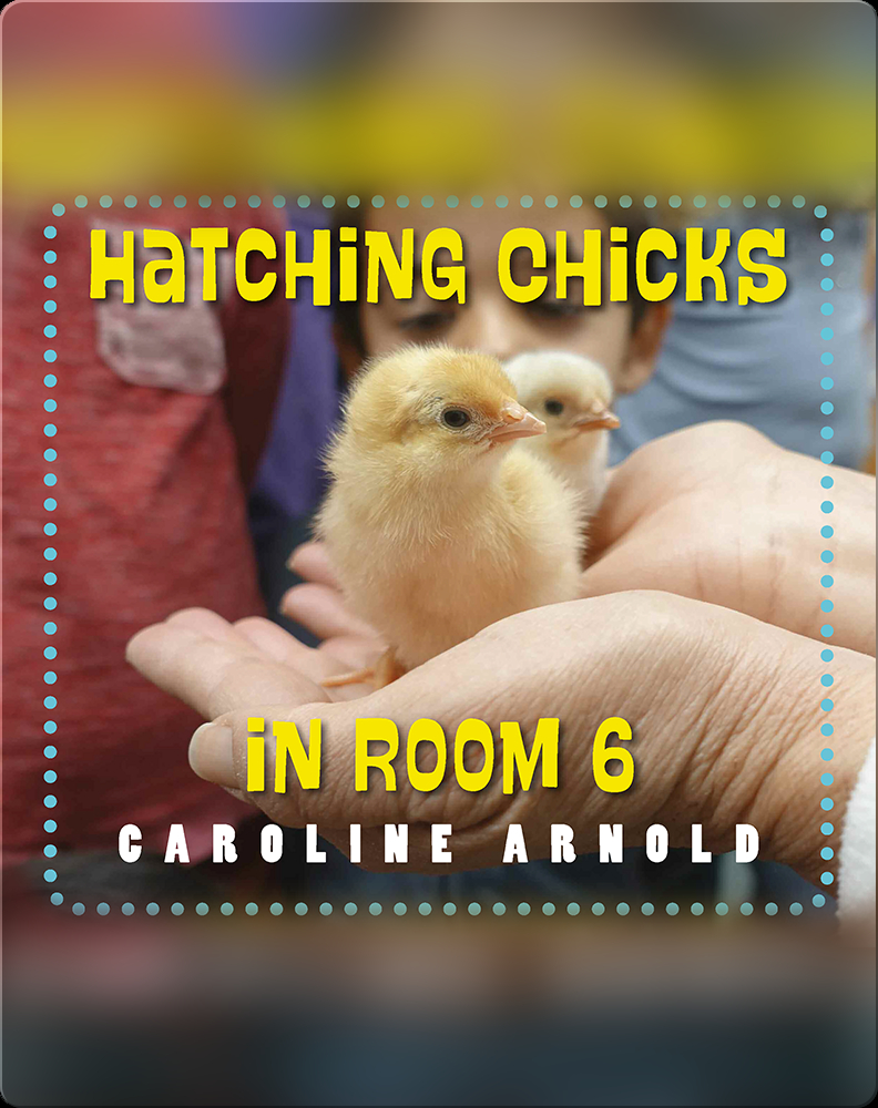 Hatching Chicks in Room 6 Book by Caroline Arnold | Epic