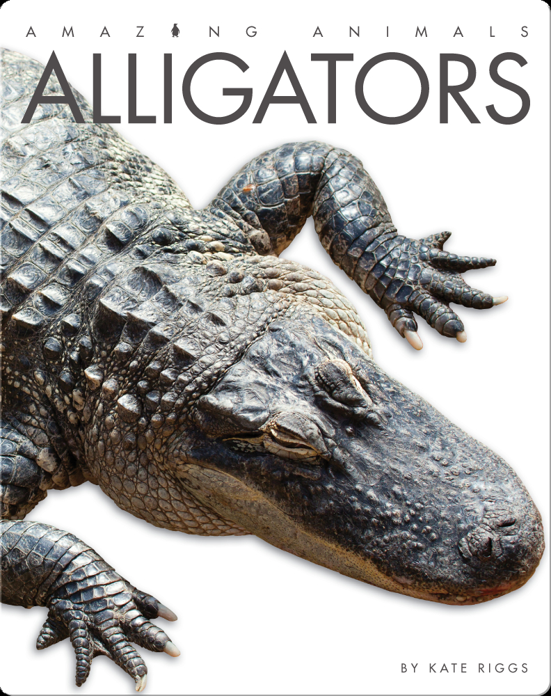 Alligators Book by Kate Riggs | Epic