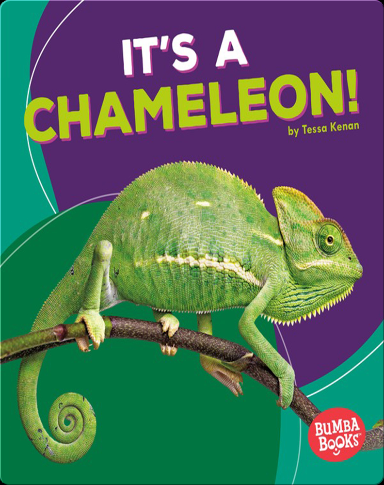 It's a Chameleon! Book by Tessa Kenan | Epic