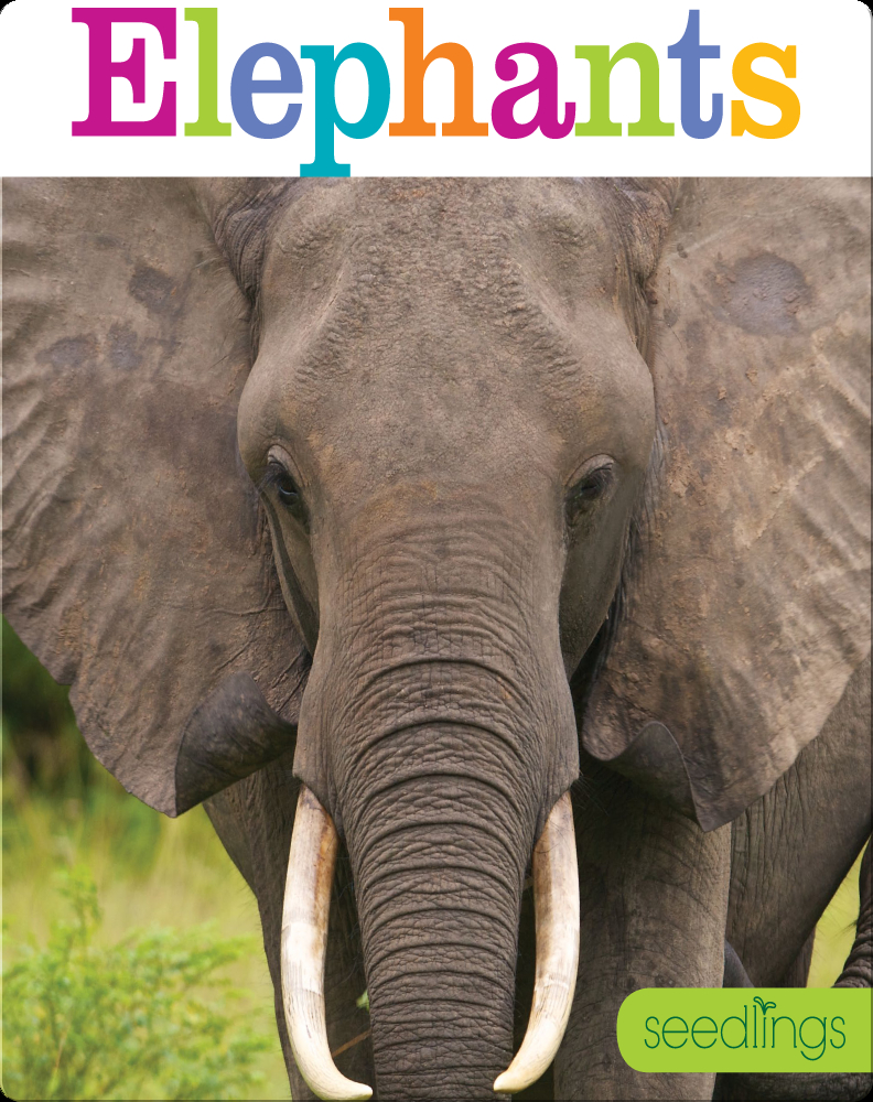 Elephants Book by Kate Riggs | Epic