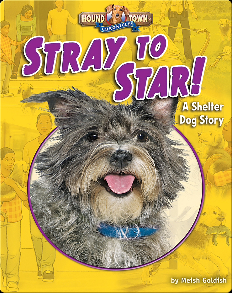 Stray to Star! A Shelter Dog Story Book by Meish Goldish | Epic