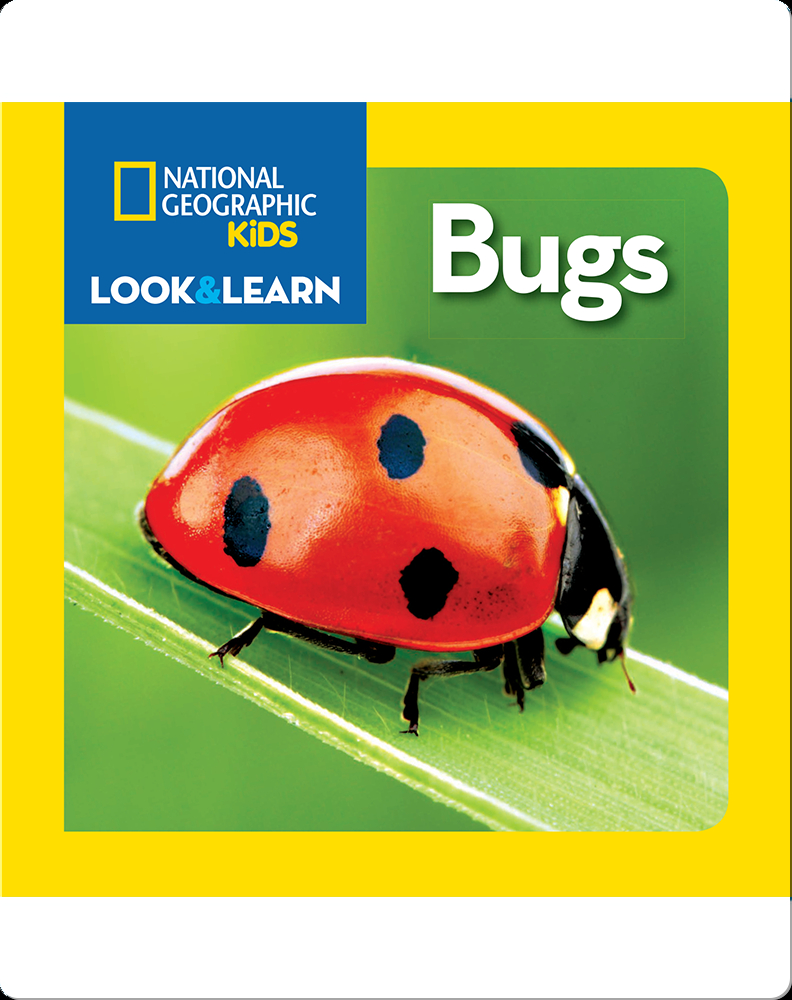 National Geographic Kids Look and Learn: Bugs Book by National ...