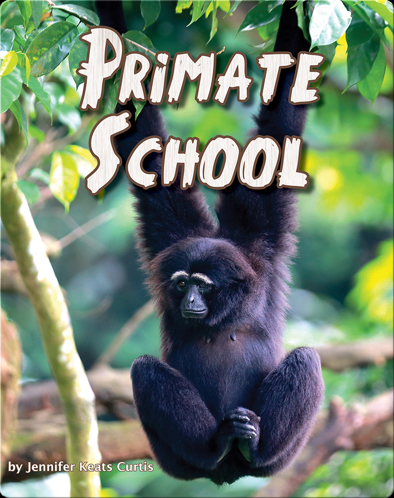 Primate School Book by Jennifer Keats Curtis | Epic