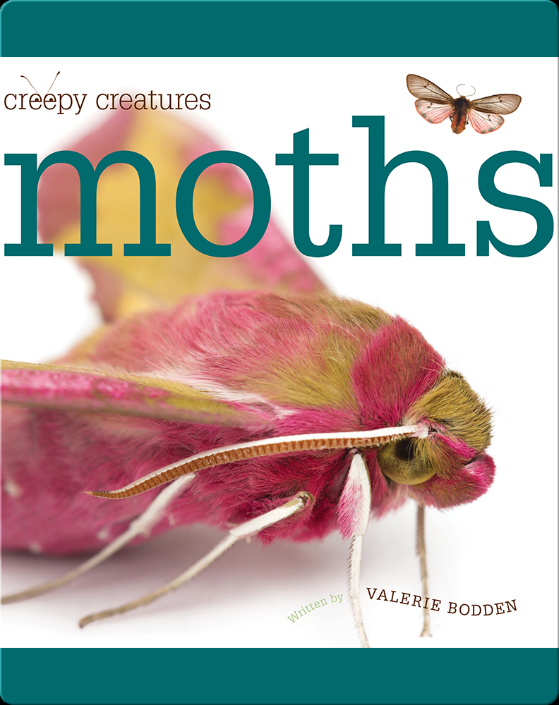 Moths Book by Valerie Bodden | Epic