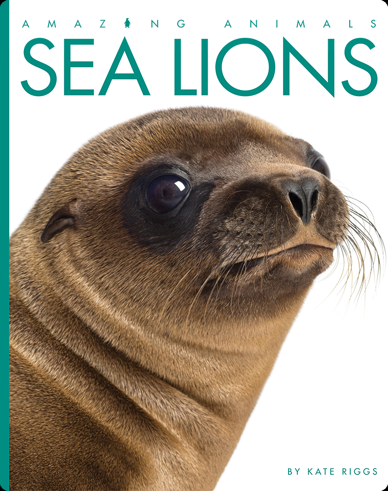 Sea Lions Book by Kate Riggs | Epic