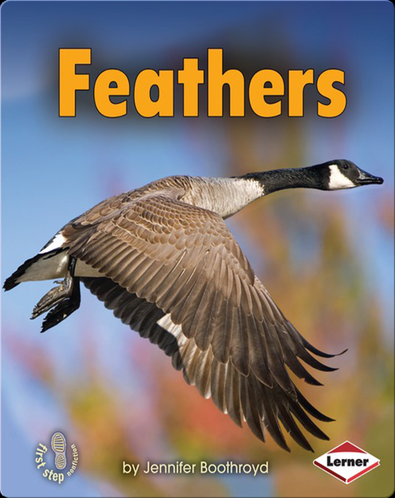Feathers Book by Jennifer Boothroyd | Epic