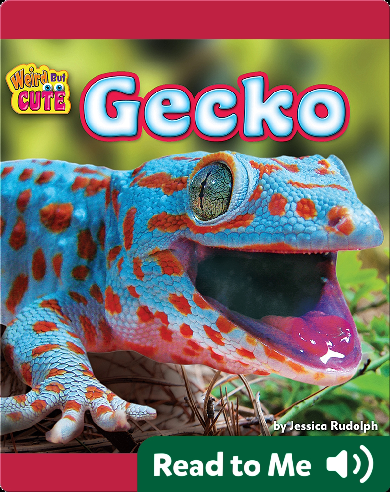 Gecko Book by Jessica Rudolph | Epic