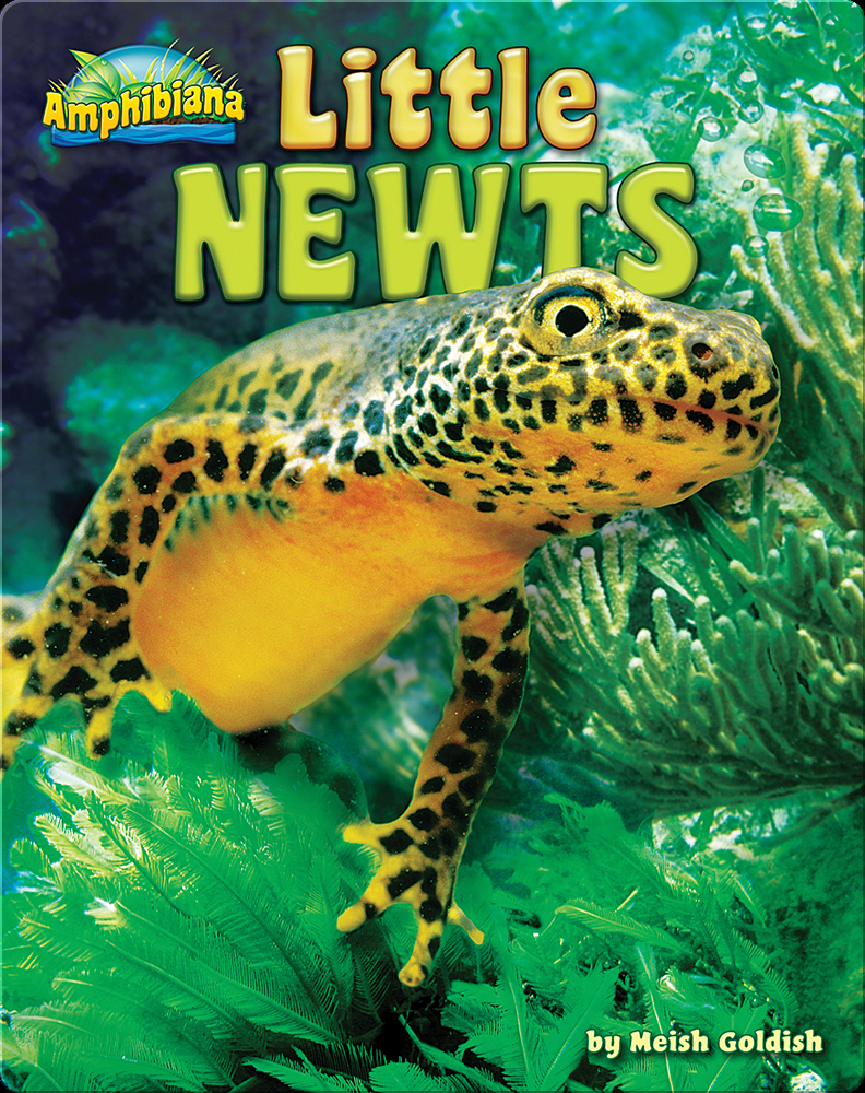Little Newts Book by Meish Goldish | Epic