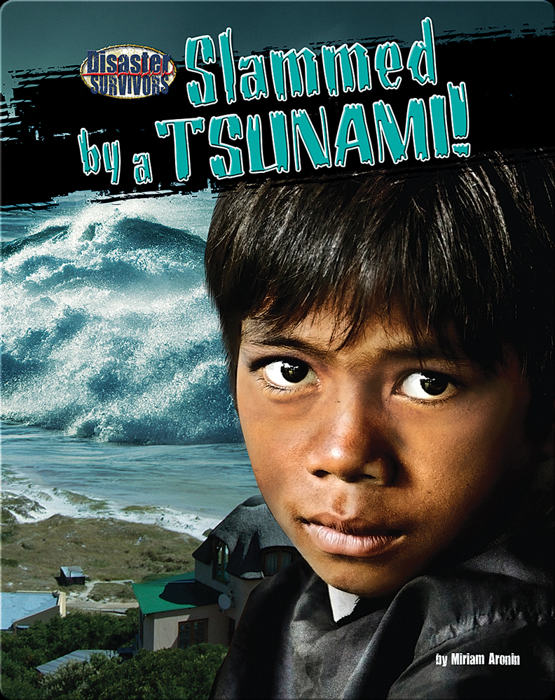 Slammed by a Tsunami! Book by Miriam Aronin | Epic