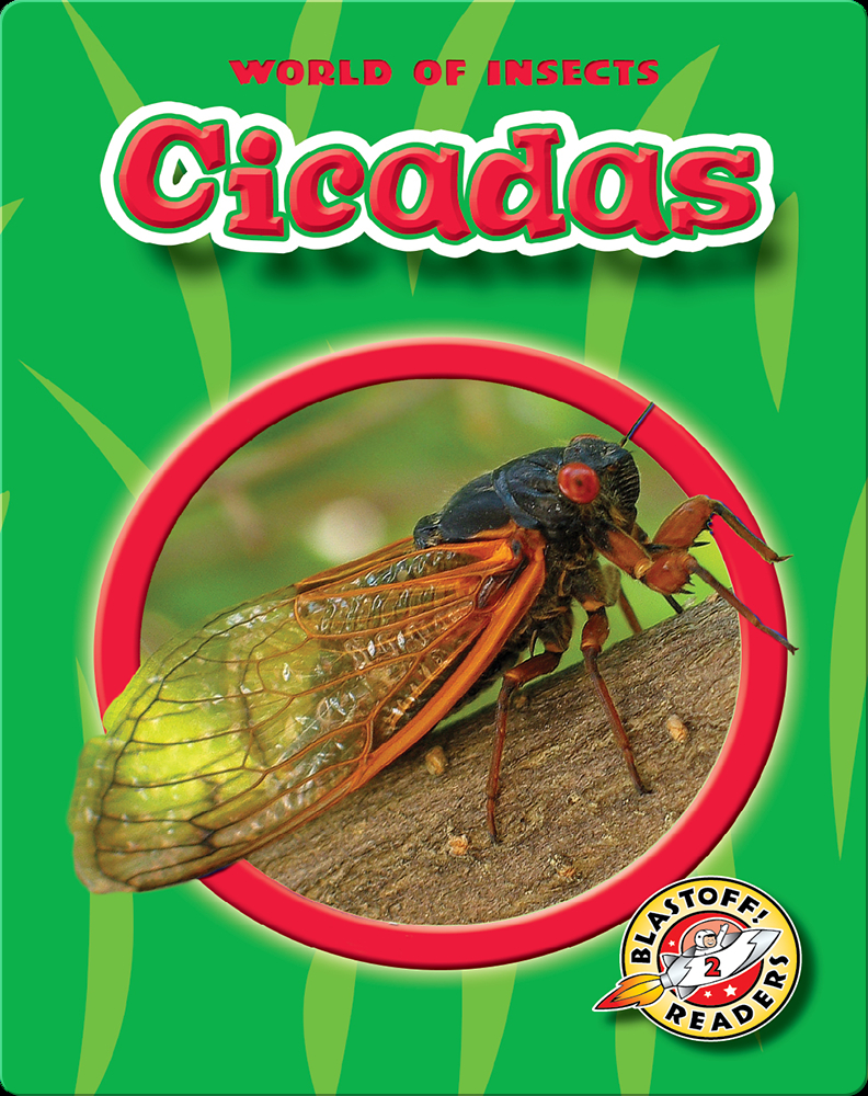 World of Insects: Cicadas Book by Colleen Sexton | Epic