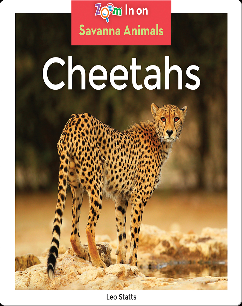Cheetahs Book by Leo Statts | Epic