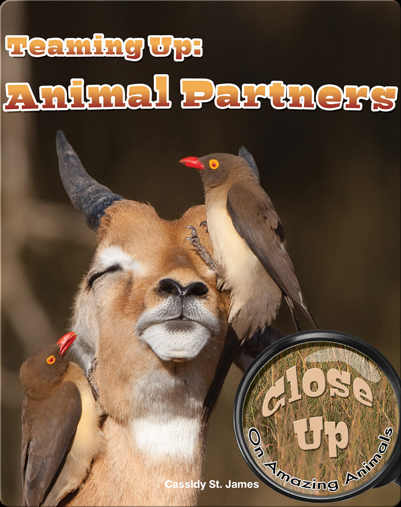 Teaming Up: Animal Partners Book by Cassidy St. James | Epic