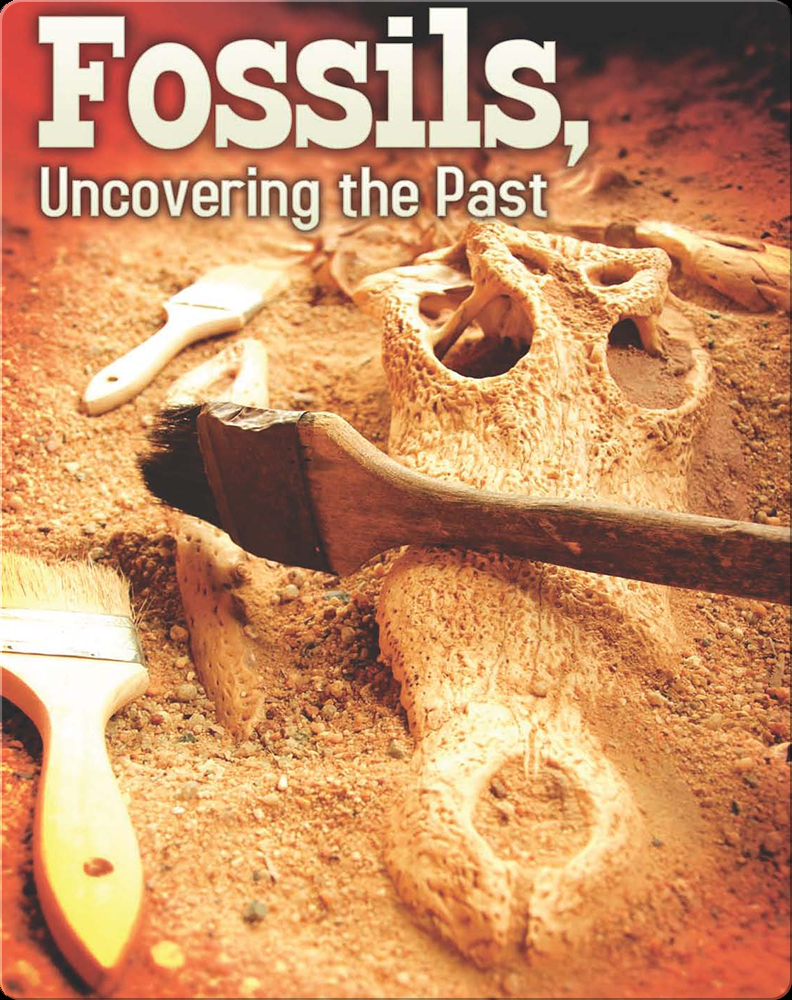 Fossils Book by Tom Greve | Epic