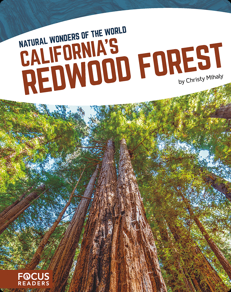 California's Redwood Forest Book by Christy Mihaly | Epic