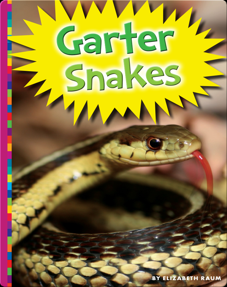Garter Snakes Book by Elizabeth Raum | Epic