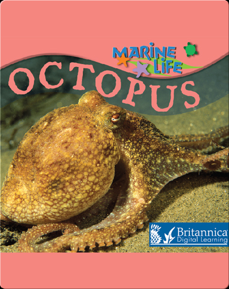Octopus Book by Lynn M. Stone | Epic