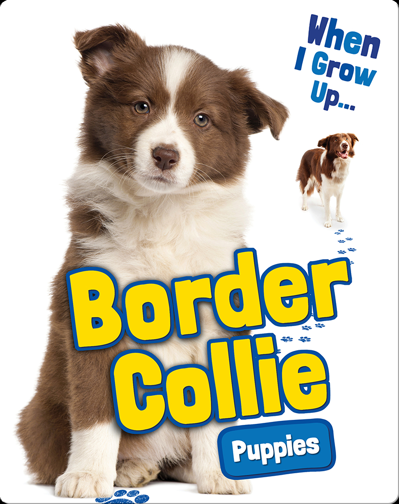 Border Collie Puppies Book by Emmie Chang | Epic
