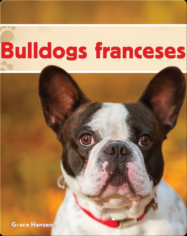 Bulldogs franceses Book by Grace Hansen | Epic