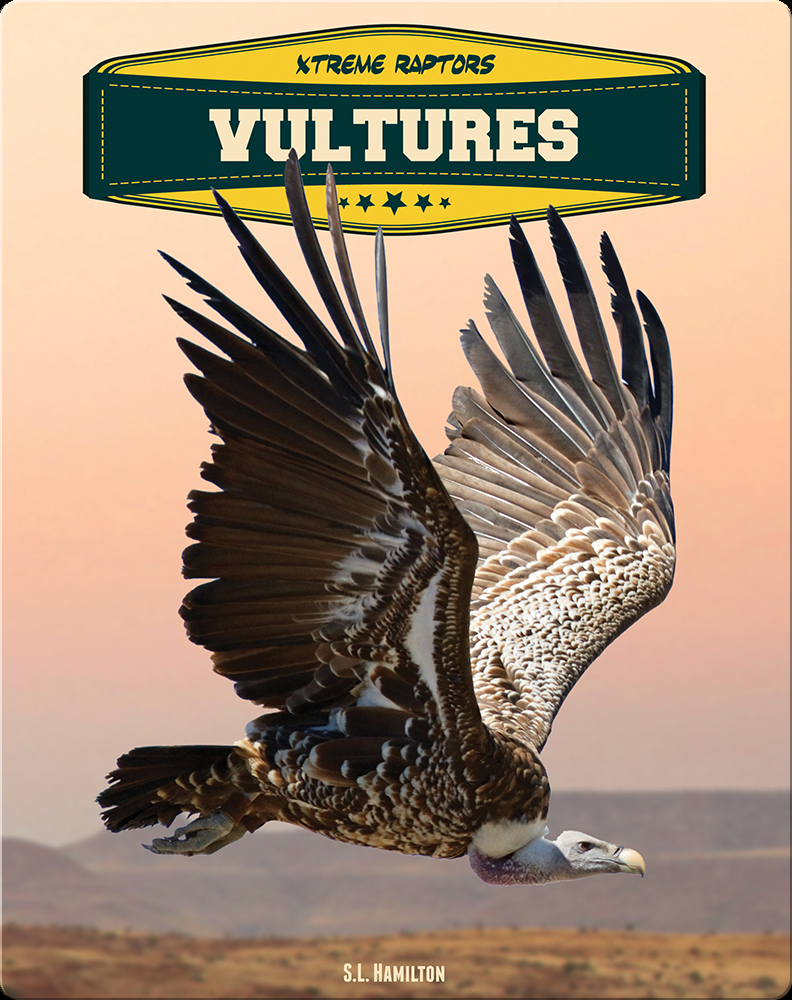 Vultures Book by S.L. Hamilton | Epic