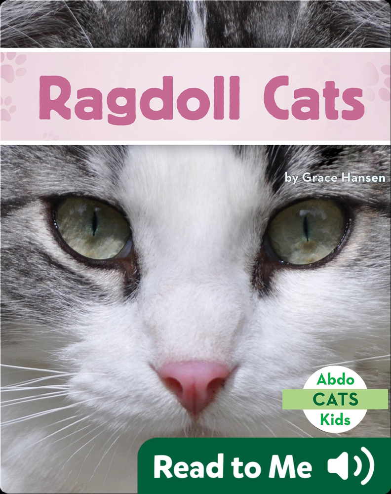Ragdoll Cats Book by Grace Hansen | Epic